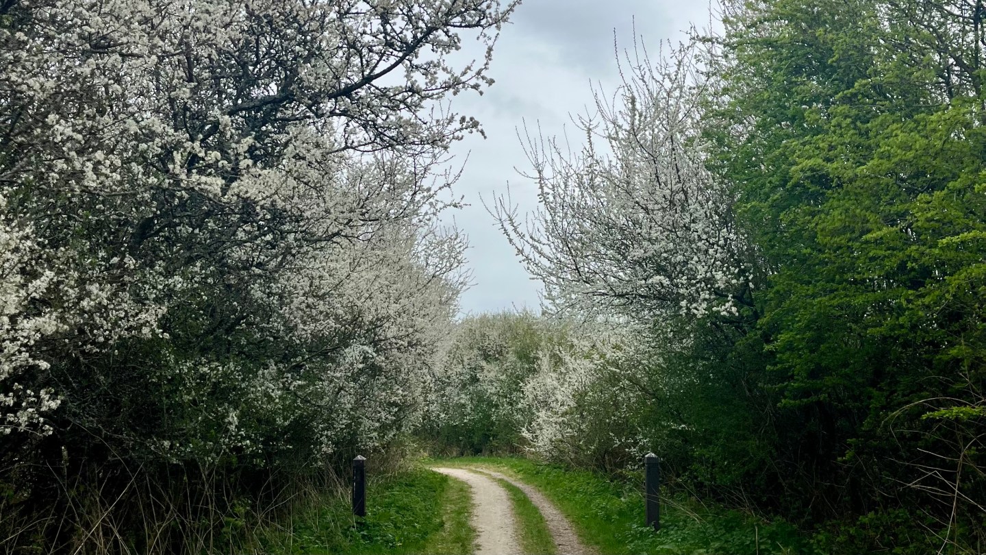 Ridgeway: How-To – Thru Horizons